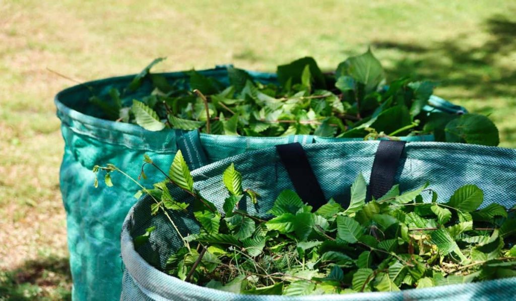 How Much Does It Cost to Get Rid of Green Waste?